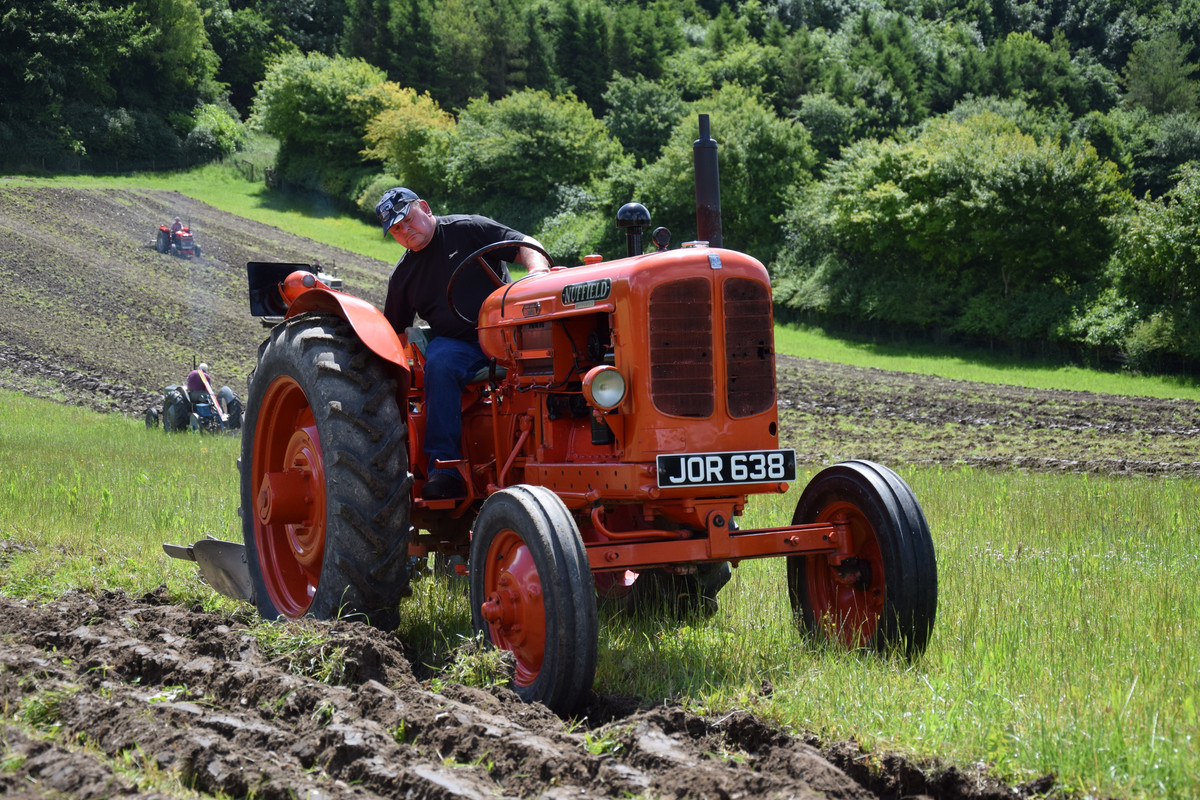 DSC 0406 — Postimages