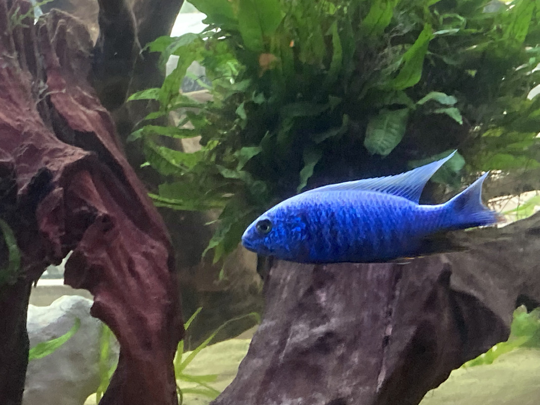 IMG 7379 — Postimages