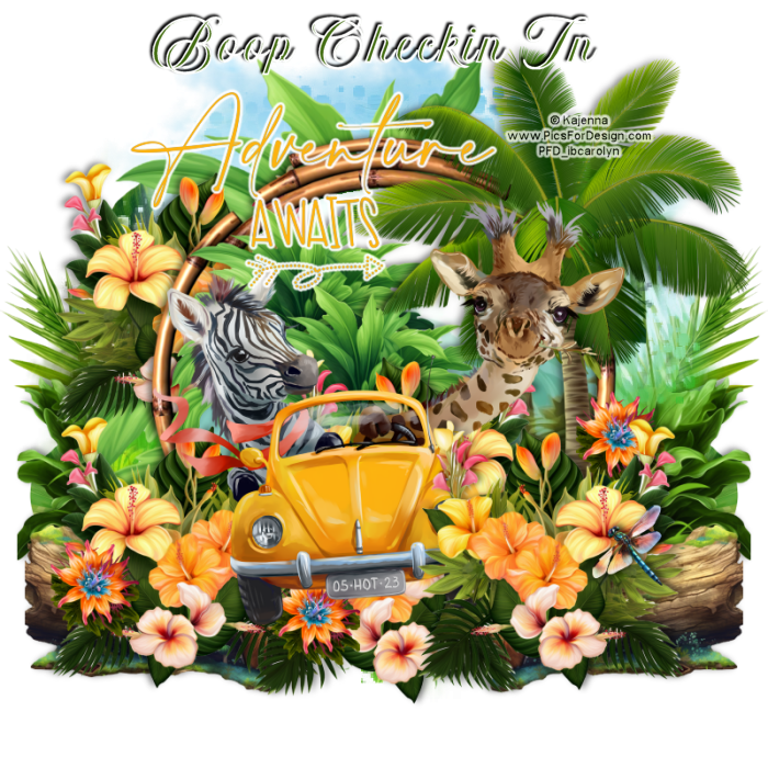 Jungle Check in KAJENNA Adventure vi — Postimages