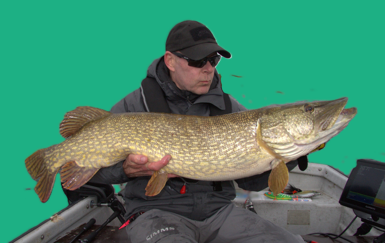 slow start to the season - Page 3 - The Pikers Pit