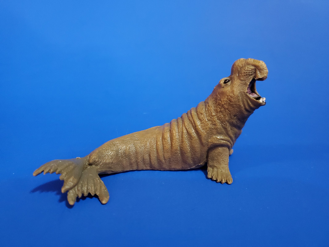 Happy Kin elephant seal walkaround and comparison