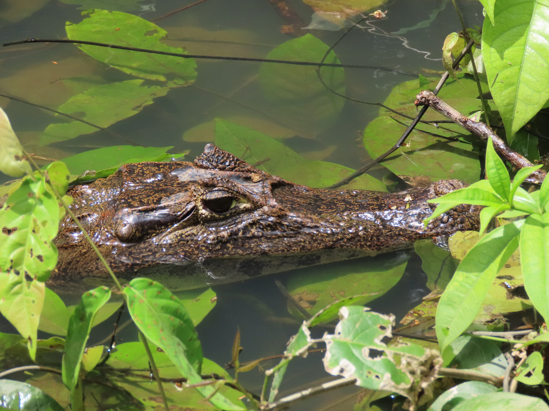 20230312232316 IMG 1517 — Postimages