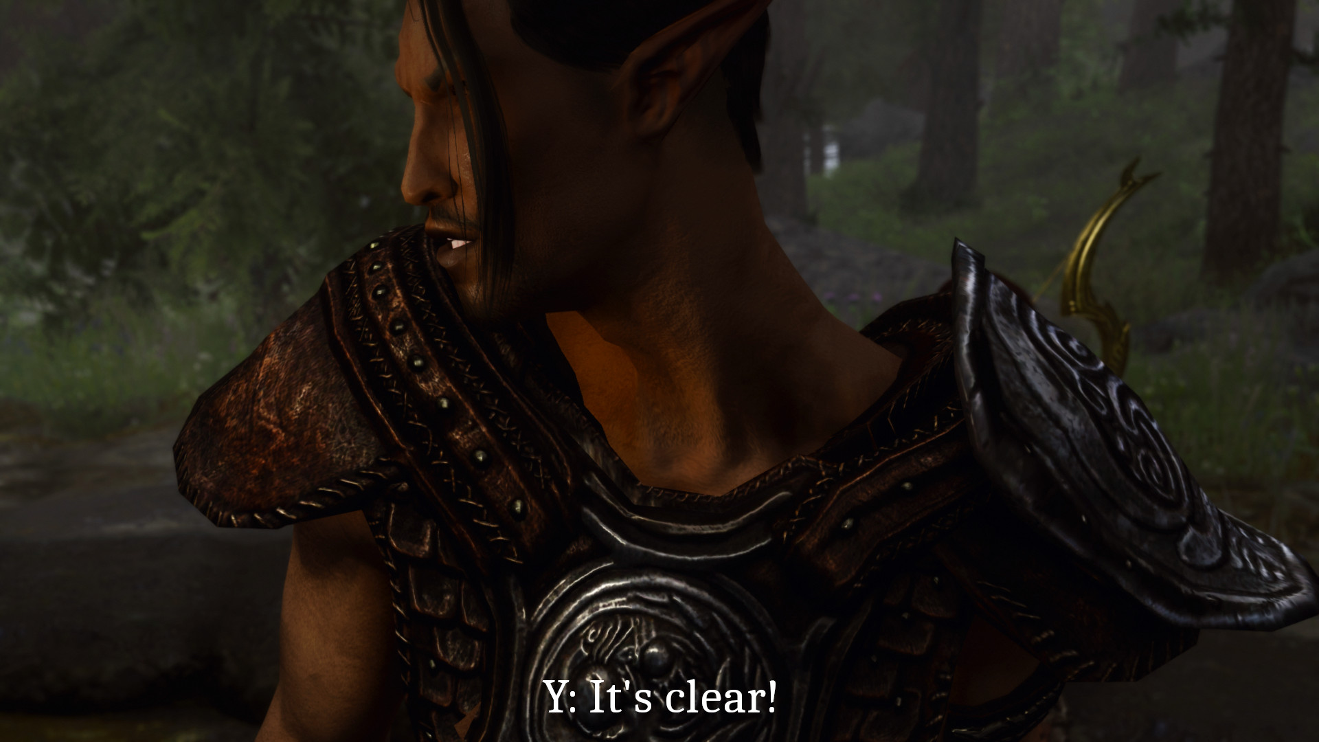 Story Partners Adventures In Tamriel Loverslab