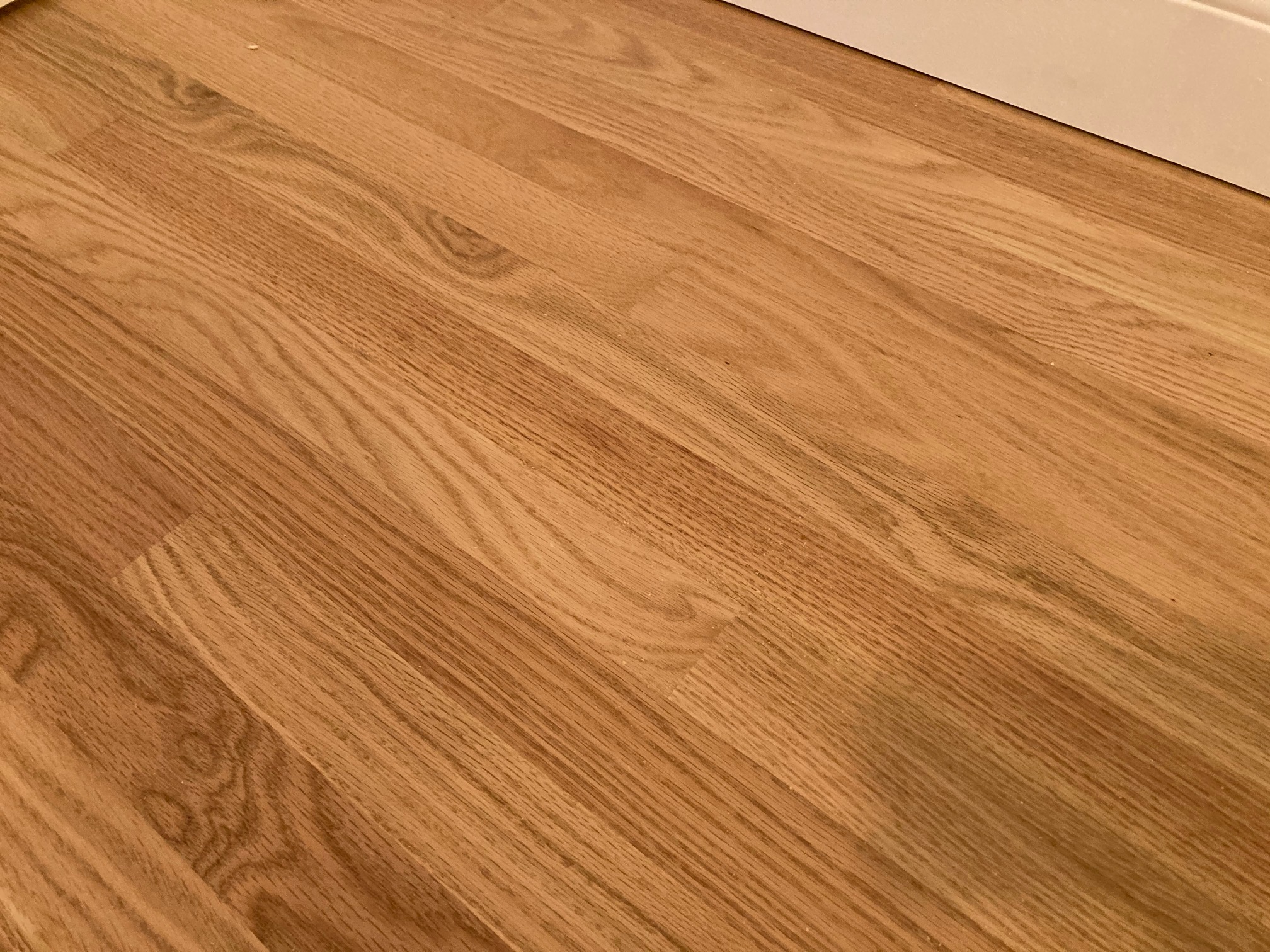 IMG 5349 — Postimages