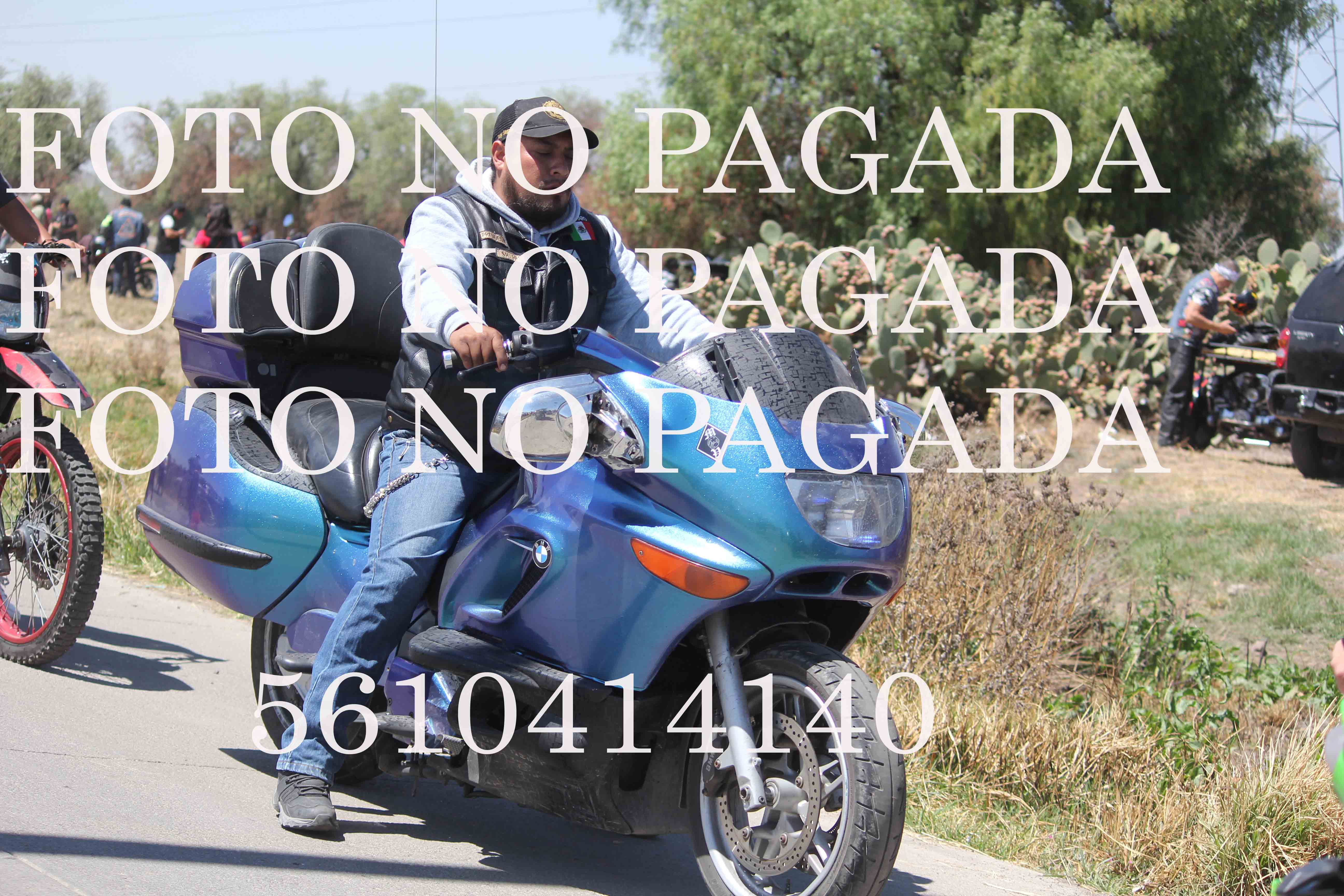 IMG 2129 — Postimages