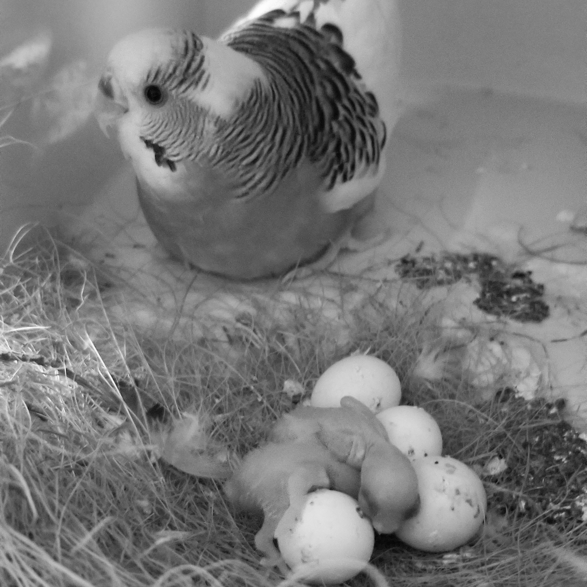 IMG 20190424 204827 716 — Postimages