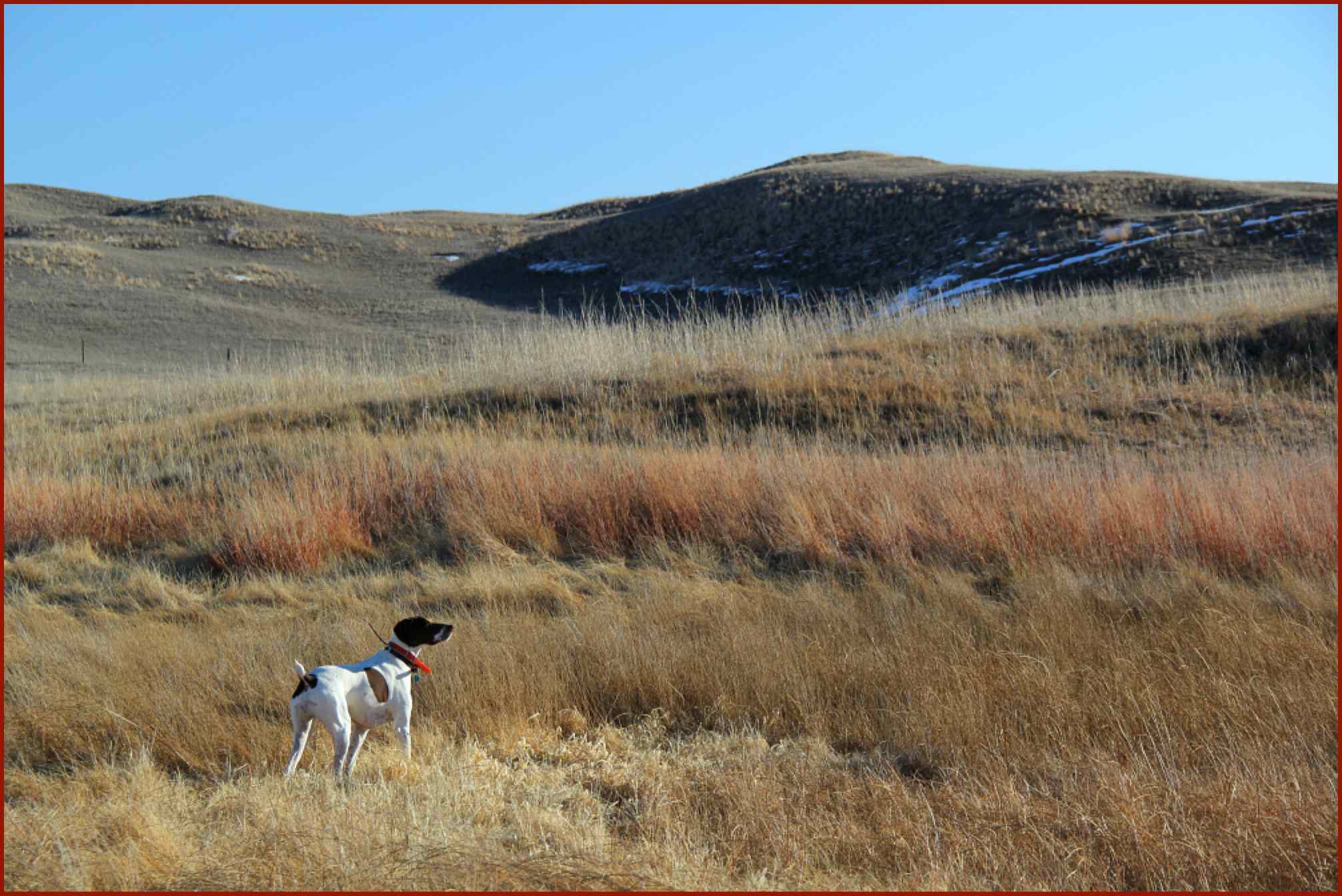 130128 jack hunting — Postimages