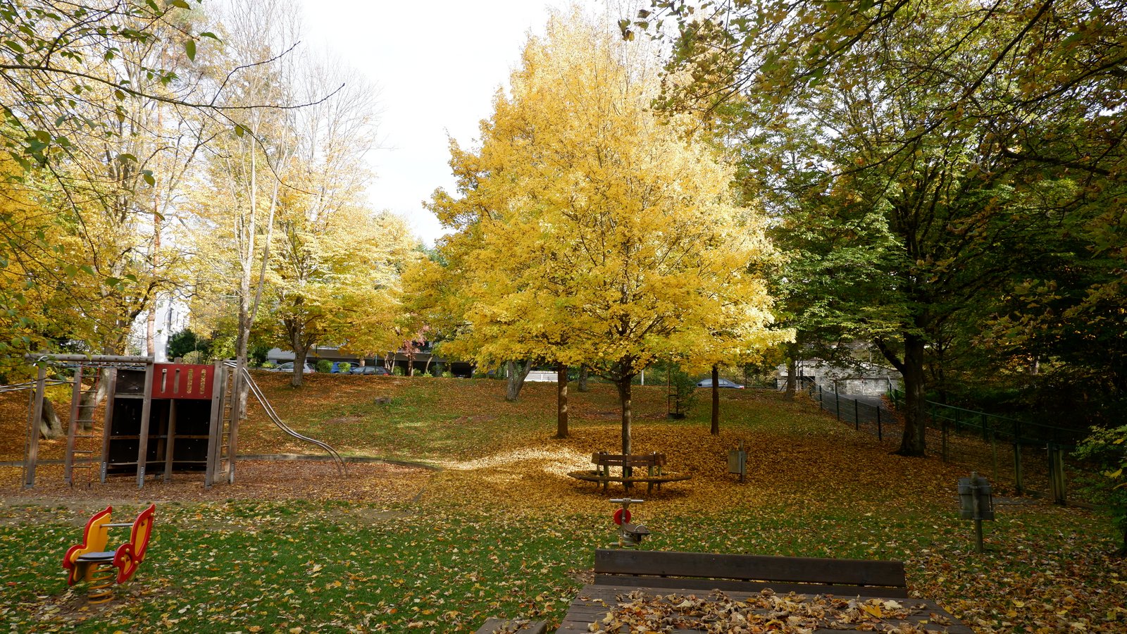 2020 0321 19330000 — Postimages