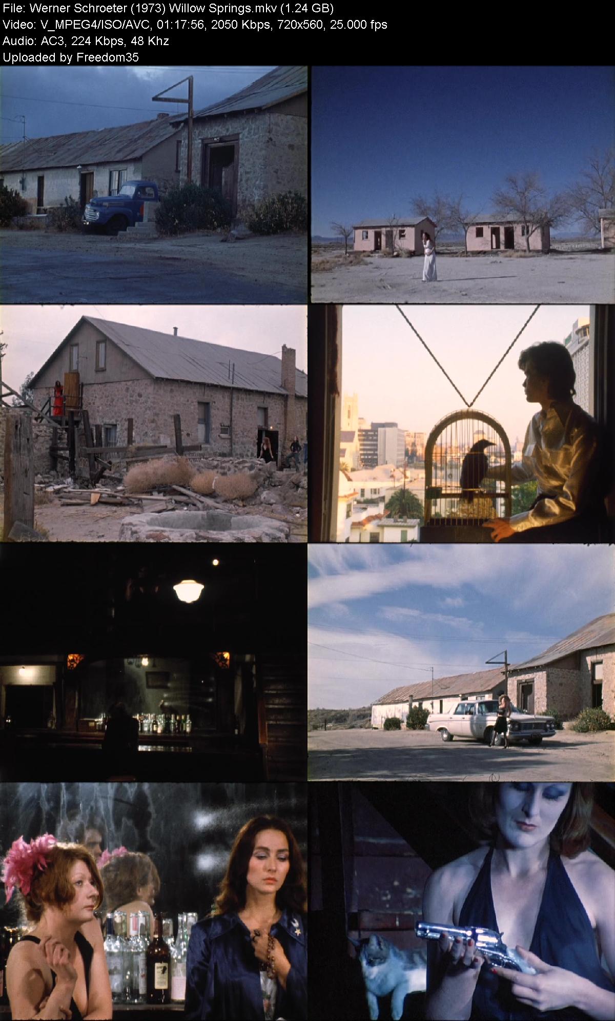 Werner Schroeter 1973 Willow Springs UNKRip German No Grp — Postimages