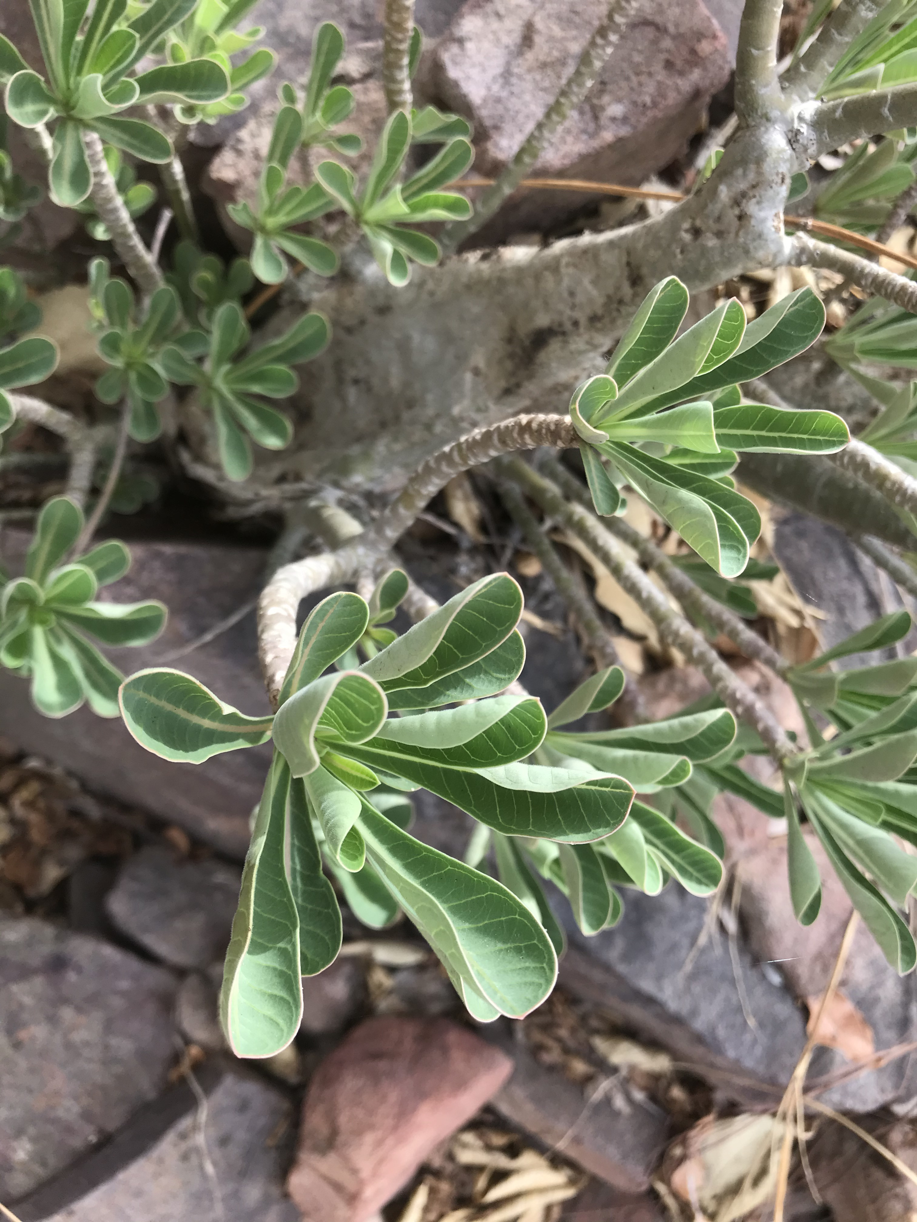 IMG 1202 — Postimages