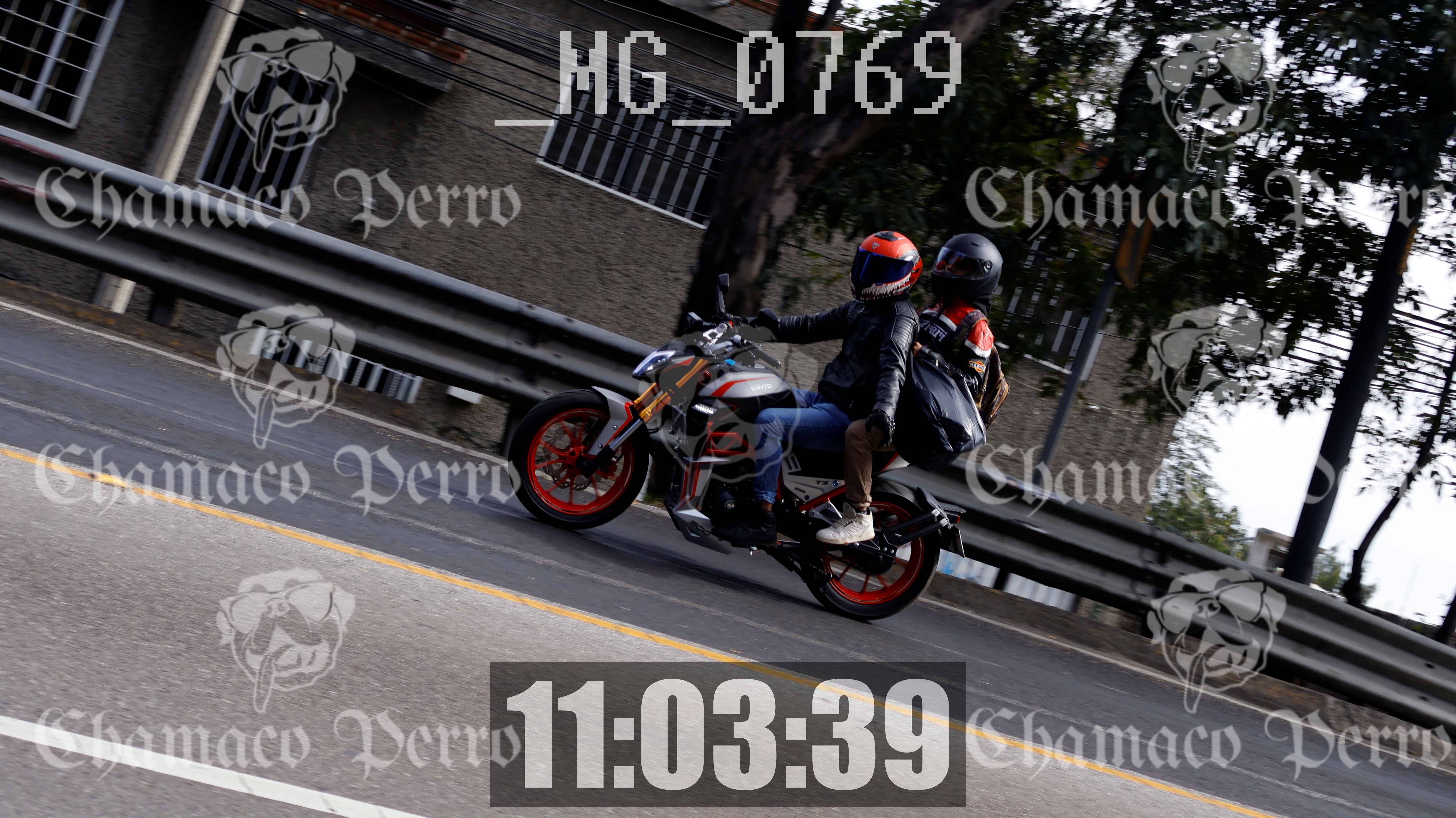 MUESTRA MG 0769 — Postimages