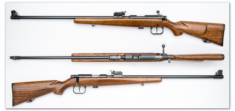 mystery military trainer > 10/22 & 22 Caliber Rifles > AR15.COM