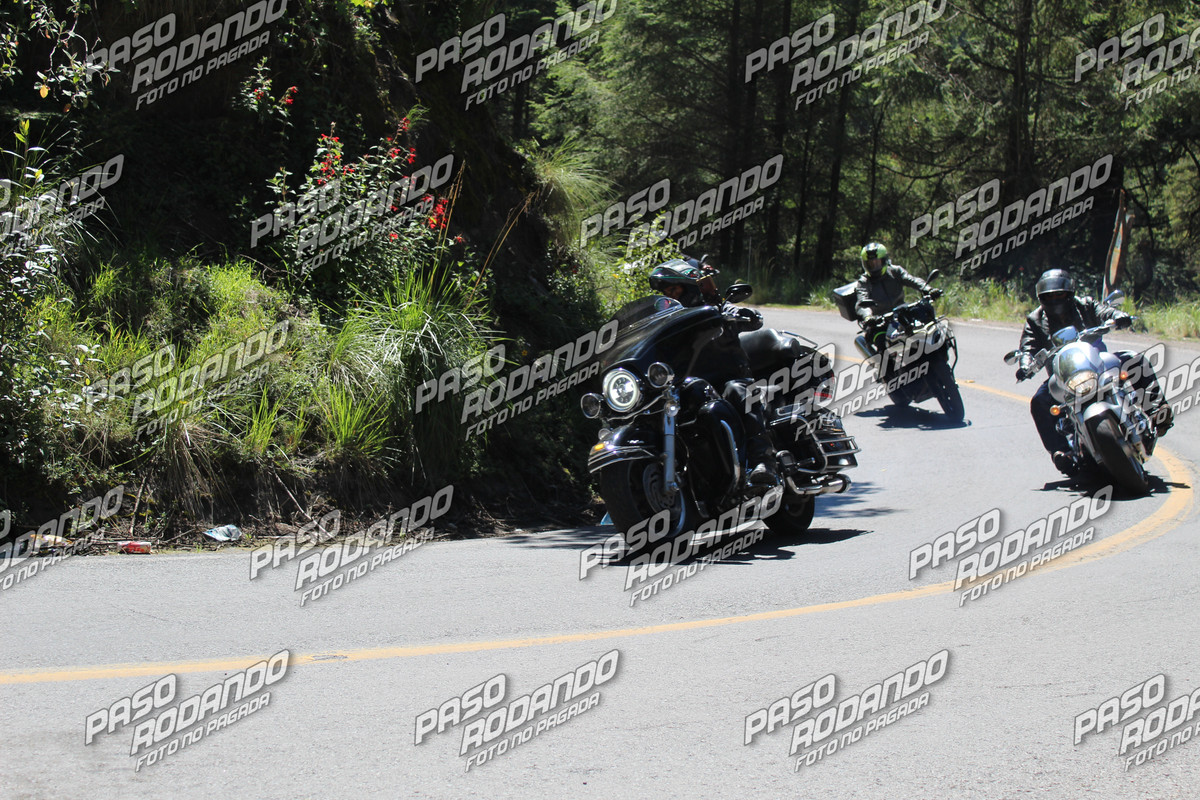 Album — Postimages