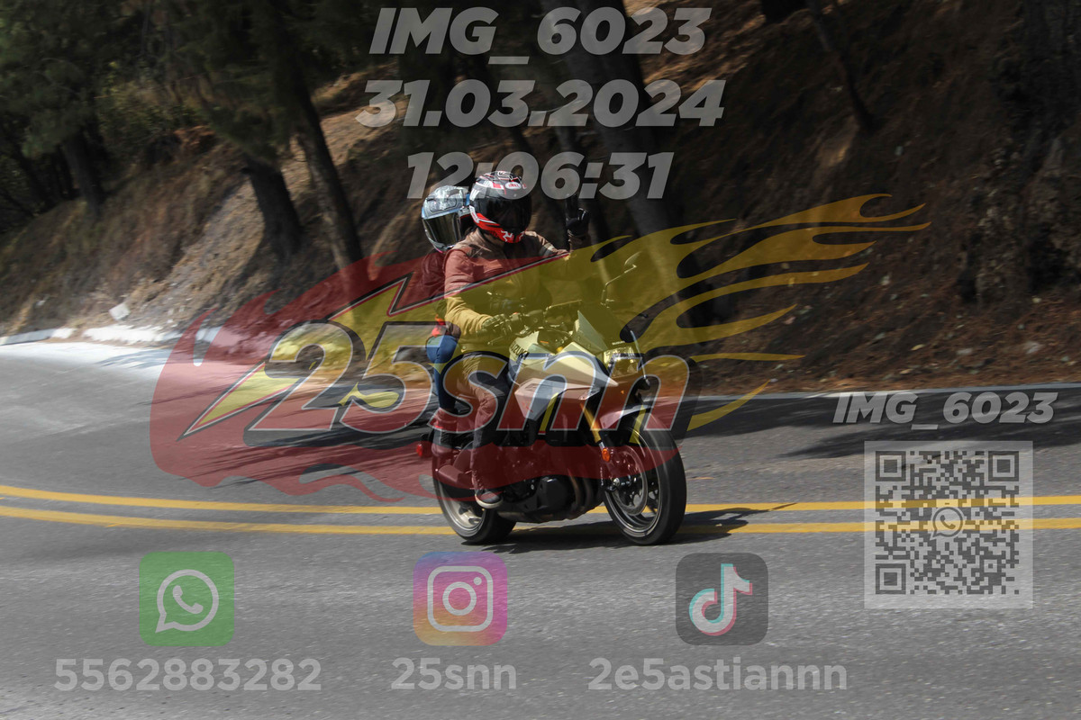 IMG 6023 — Postimages