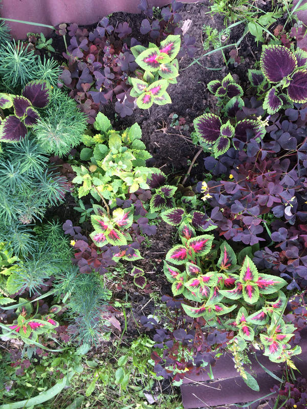 3 BADC4 C2 C804 4 F98 84 A9 1922 CD7 D933 F — Postimages