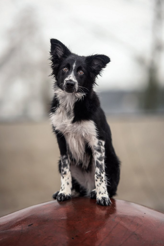 DSC1737 1 web — Postimages