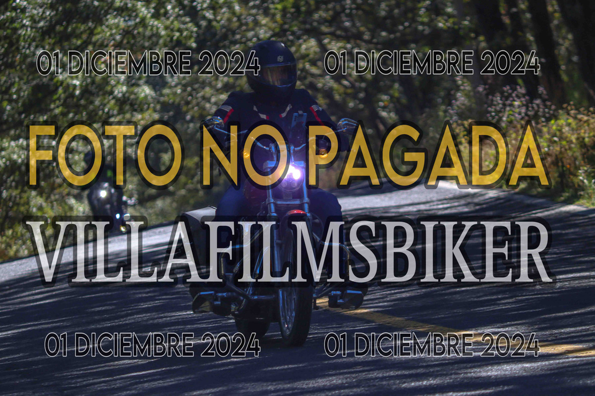 CA 1019 — Postimages