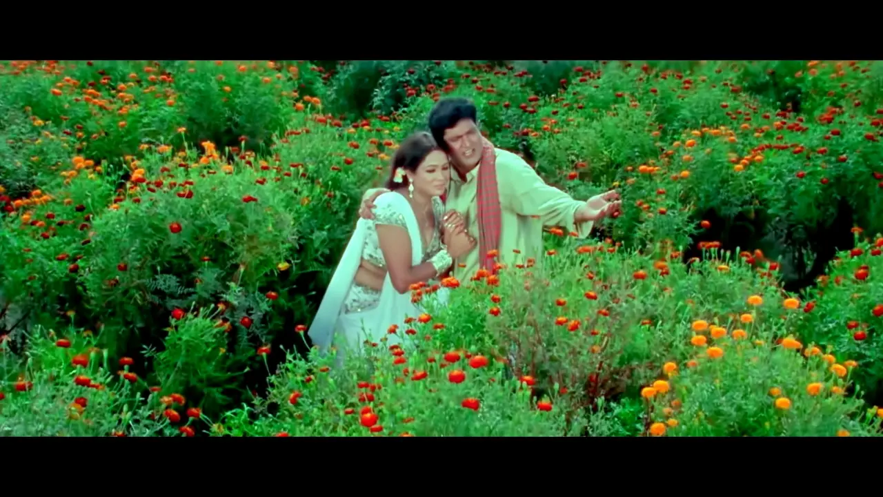 f 231 — Postimages