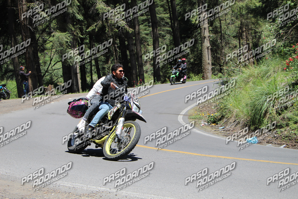 IMG 6709 wm 21290453 099999998 watermarked — Postimages