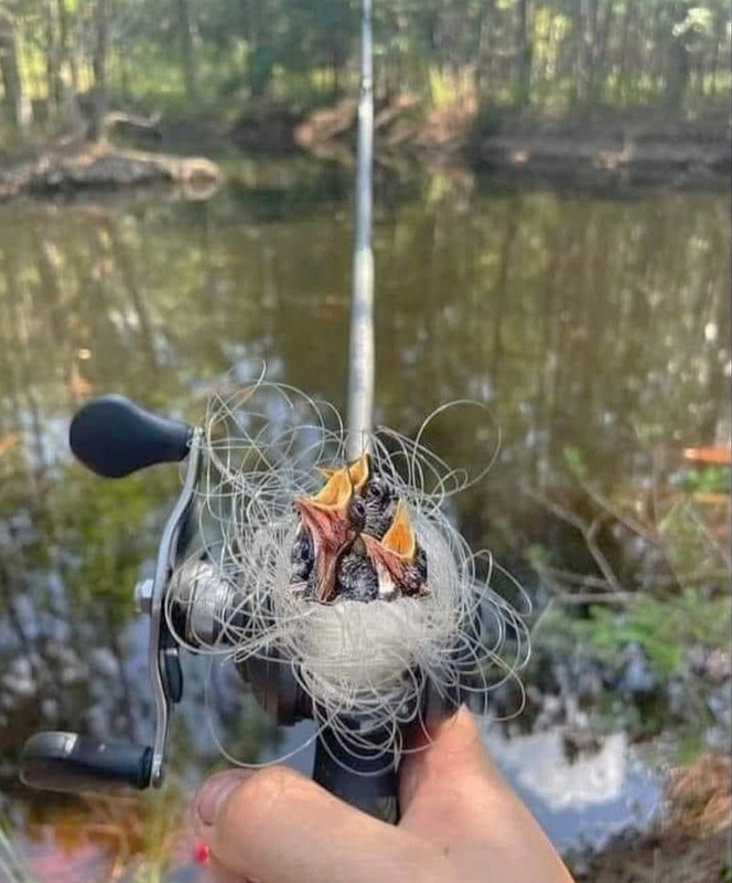 I saw this on another website and got a chuckle from it. > Fresh Water ...