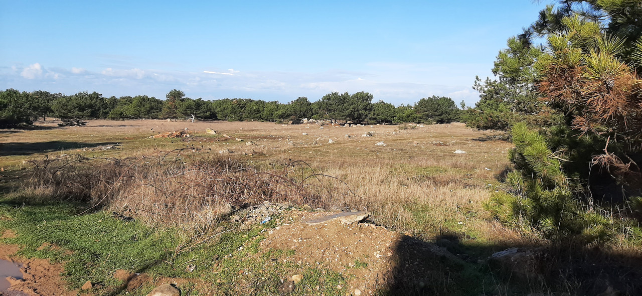 20230202 105208 — Postimages