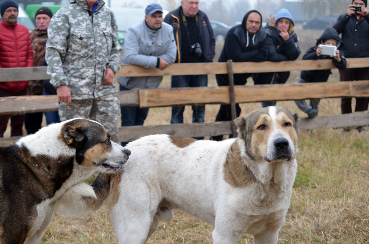 DSC 0405 — Postimages