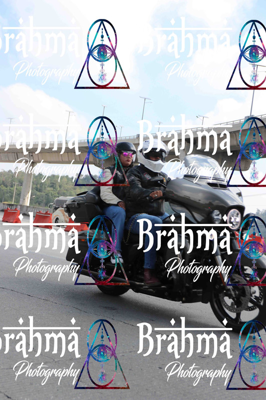 IMG 1219 — Postimages