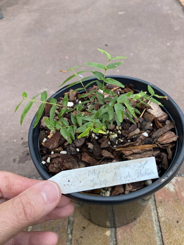 IMG 7209 — Postimages