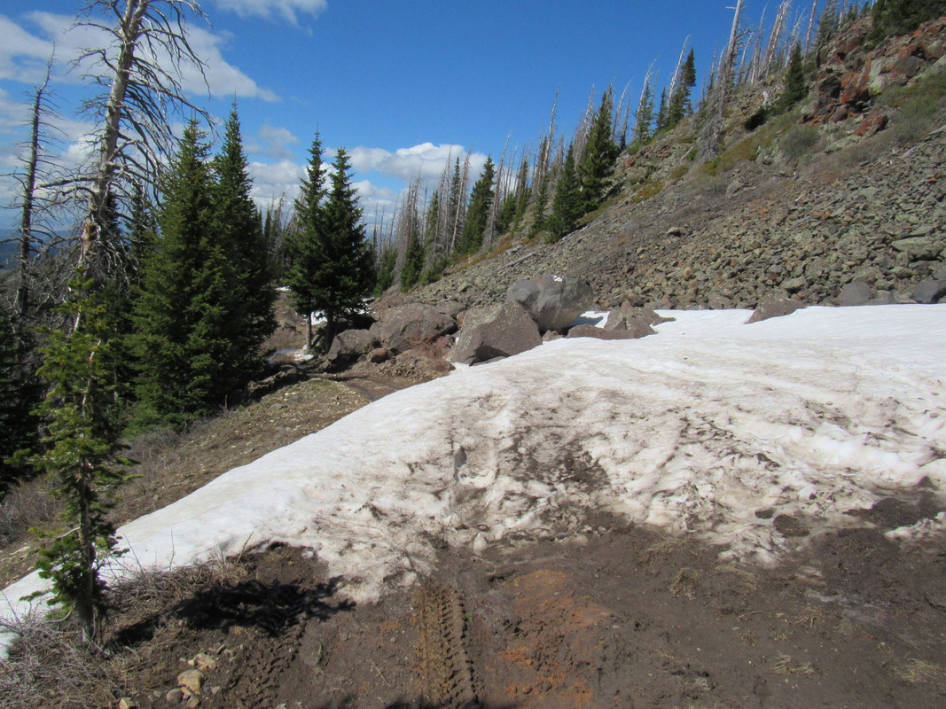 IMG 1017 — Postimages