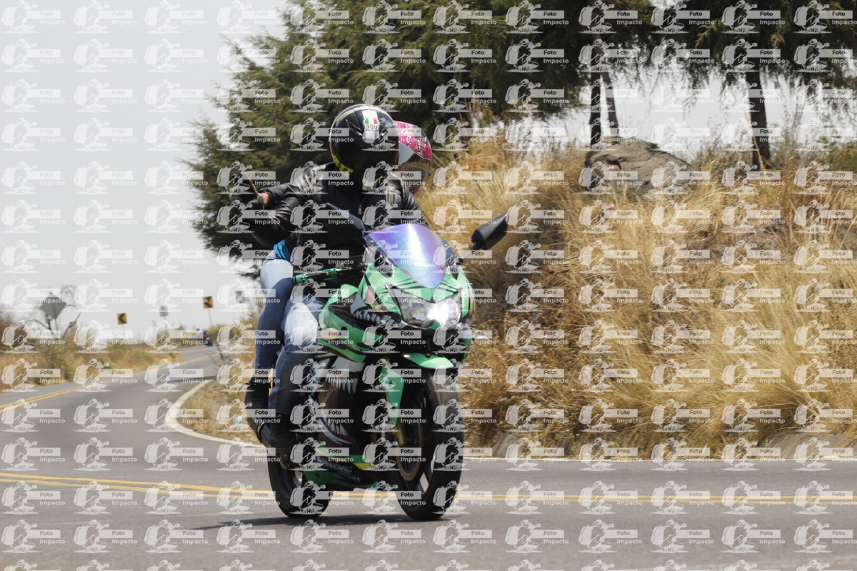 Album — Postimages