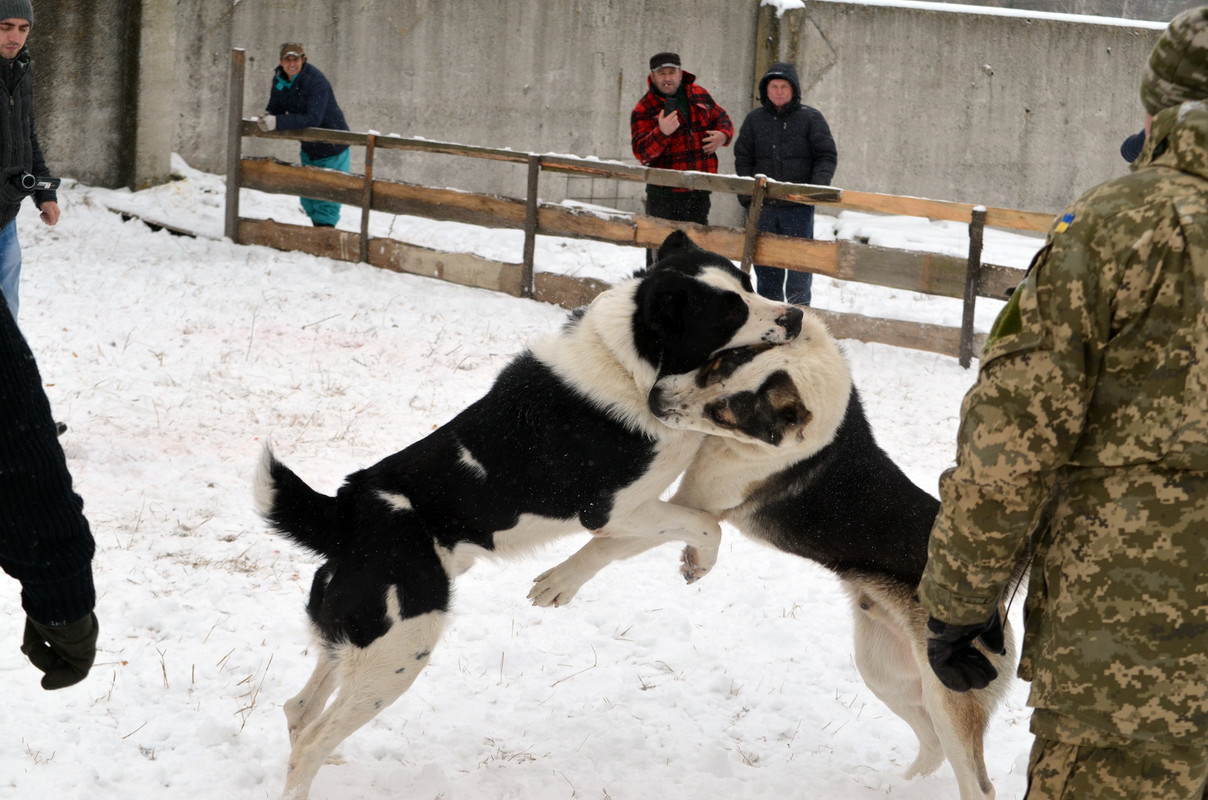 DSC 0526 — Postimages