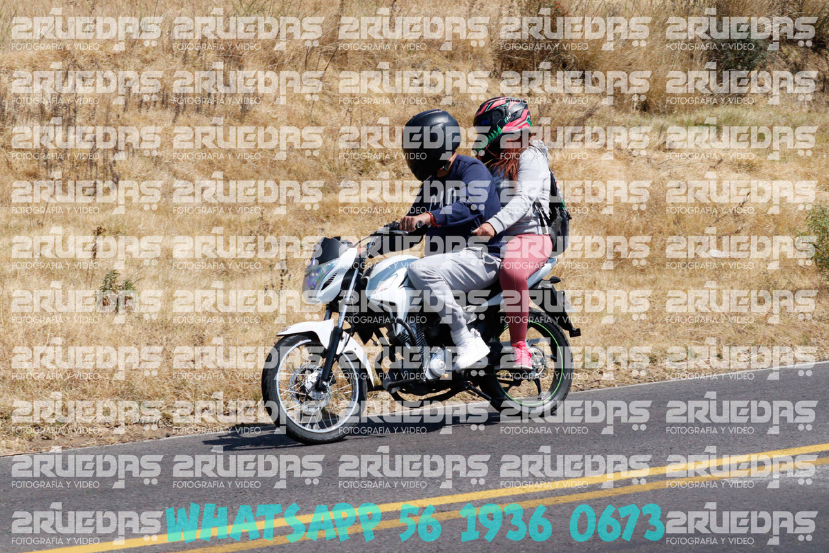 MG 0545 — Postimages