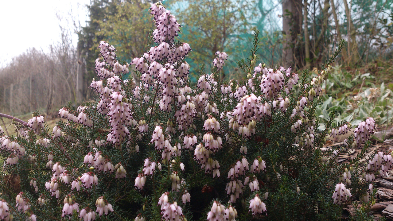 DSC 2585 — Postimages