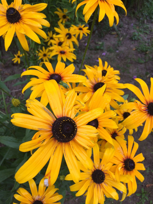 IMG 5432 — Postimages