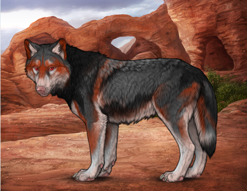 Design My Stud - Win GC! |:| Wolvden