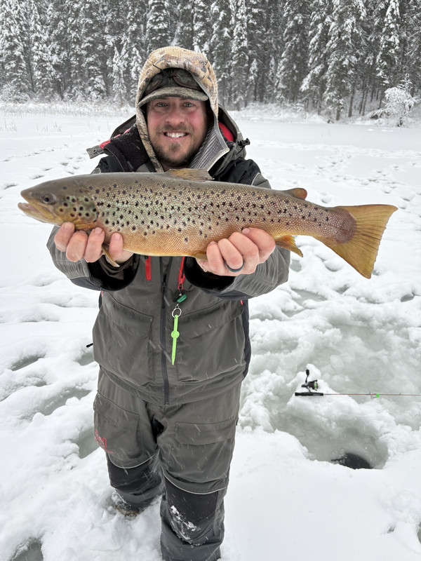 IMG 0289 — Postimages