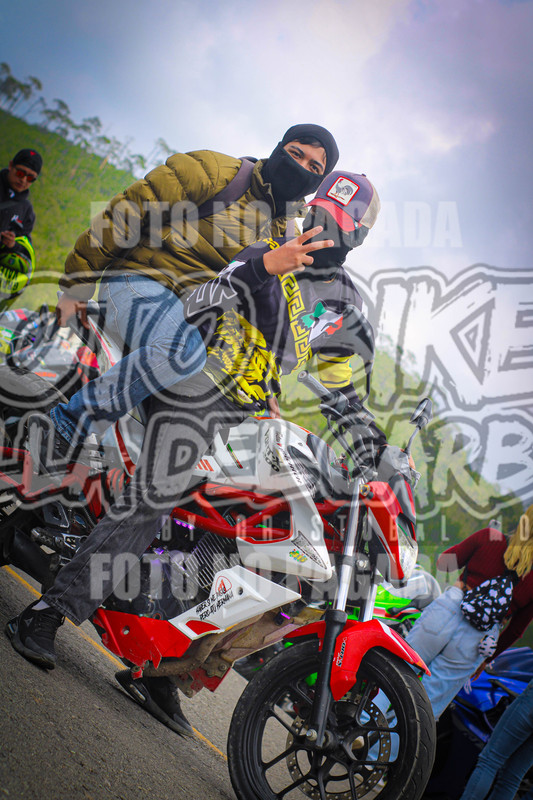 pal1s 1018 — Postimages