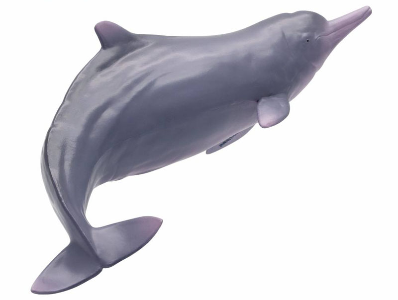 2025 Sealife Animal Figure of the Year! Schleich North Atlantic Right ...