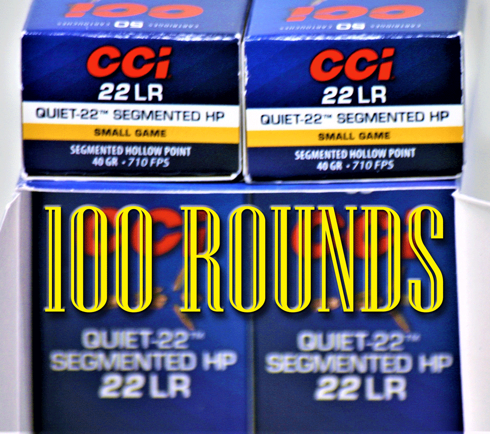 CCI QUIET 22LR SEGMENTED 22 LR HP 40 Grain 2/50 Round Boxes 100 Rounds ...