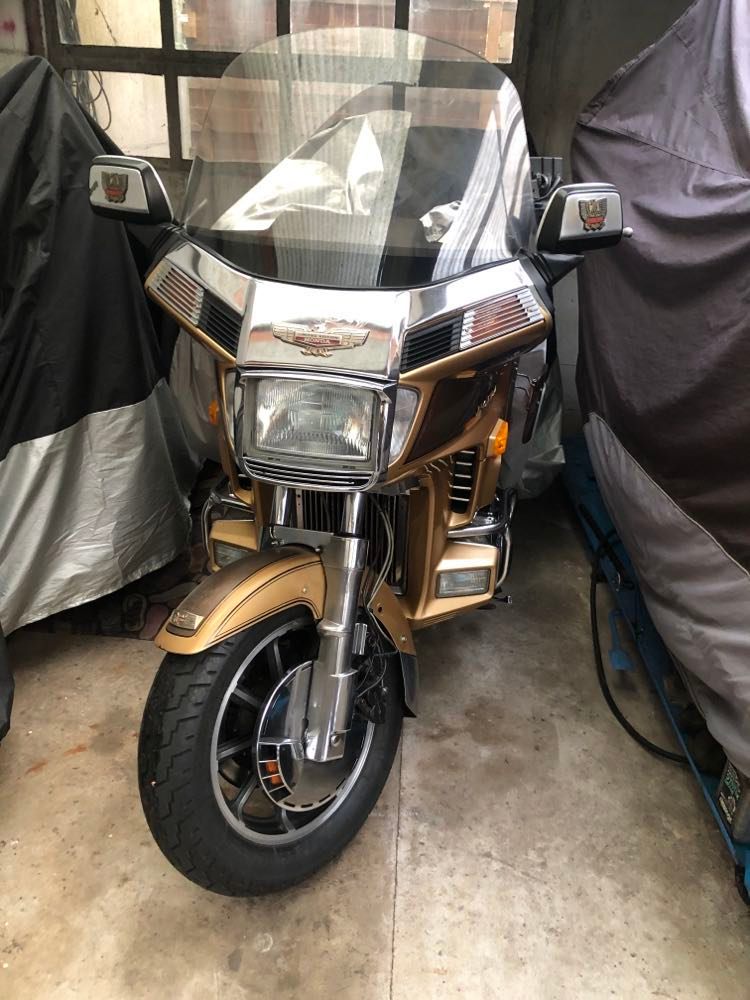 Winterslaap 1 — Postimages