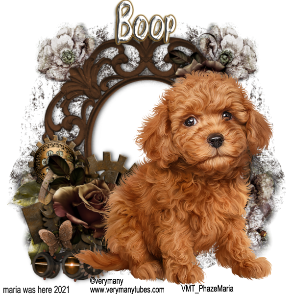 Boop Dog Without Frame — Postimages
