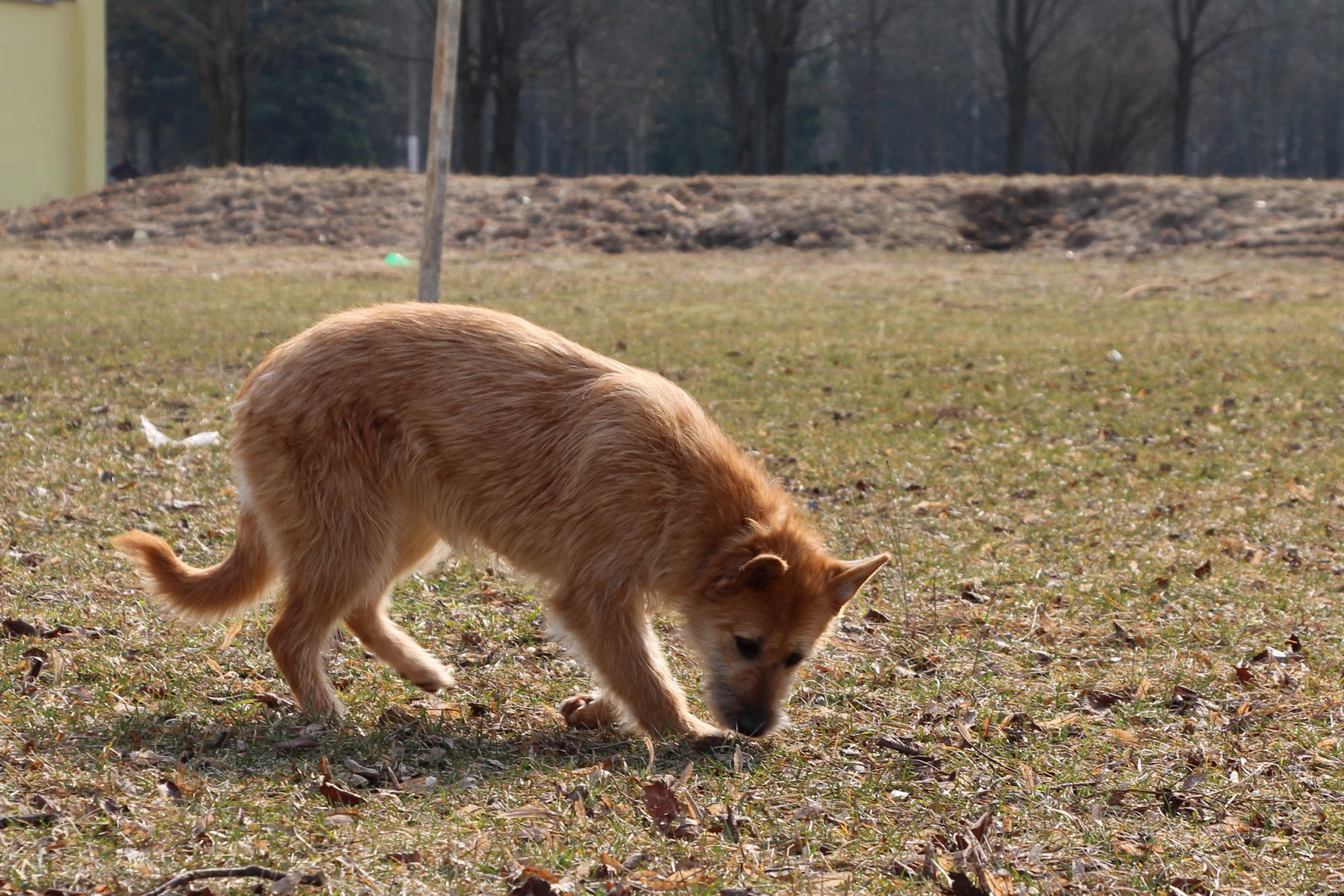 Бэти 11 — Postimages