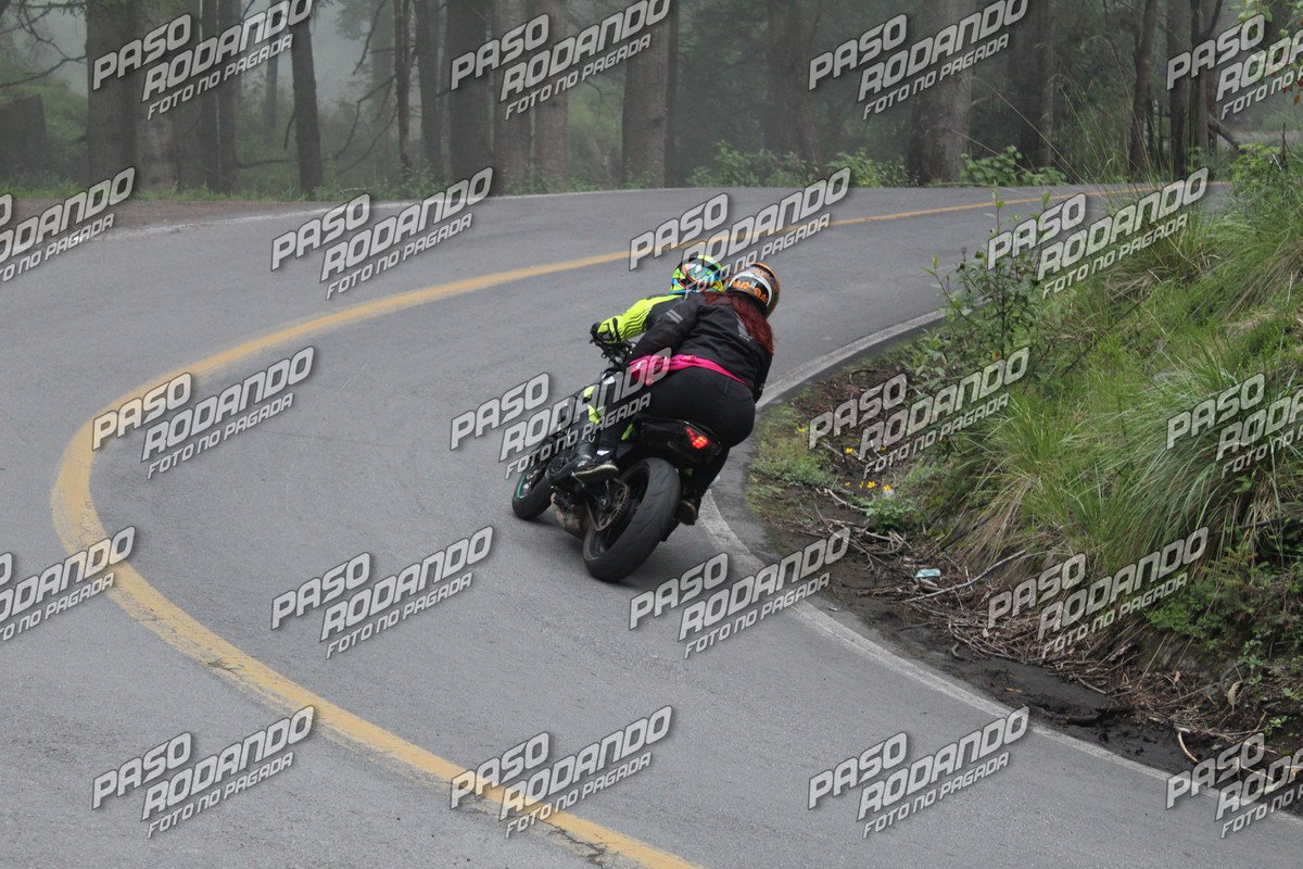 IMG 0175 wm 90320 8999999999 watermarked — Postimages