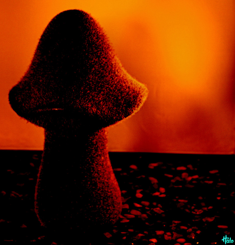 IMG 7240de — Postimages