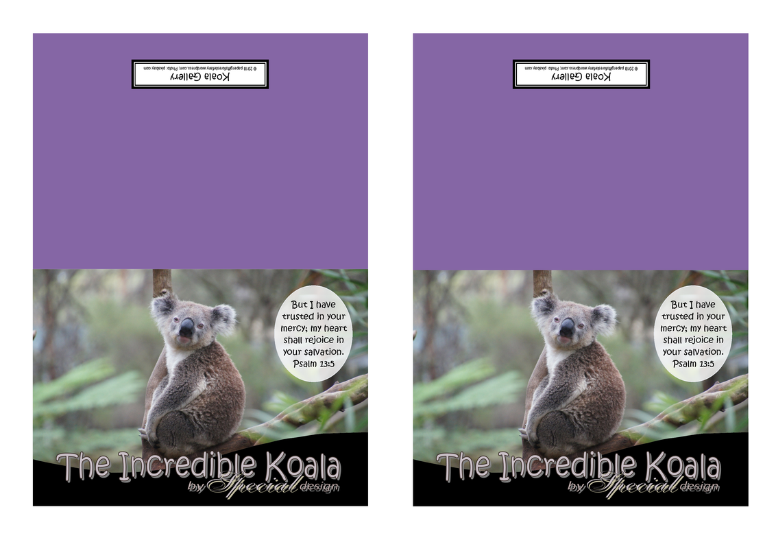 PGFE Koala Photo Note Cards3 A4 — Postimages