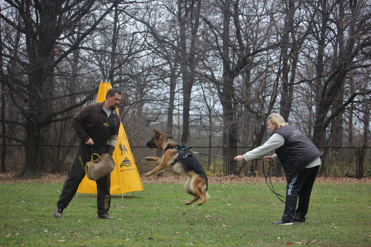 IMG 2294 — Postimages