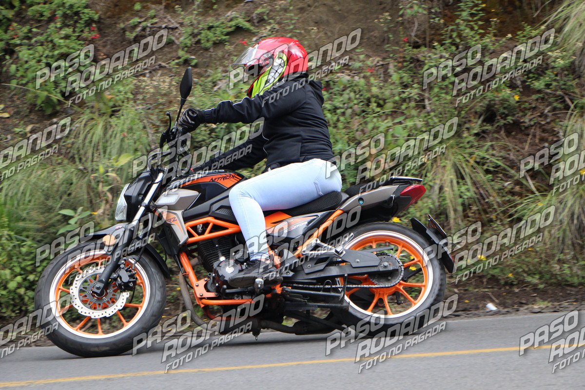 IMG 7521 wm 2149550 6999999993 watermarked — Postimages