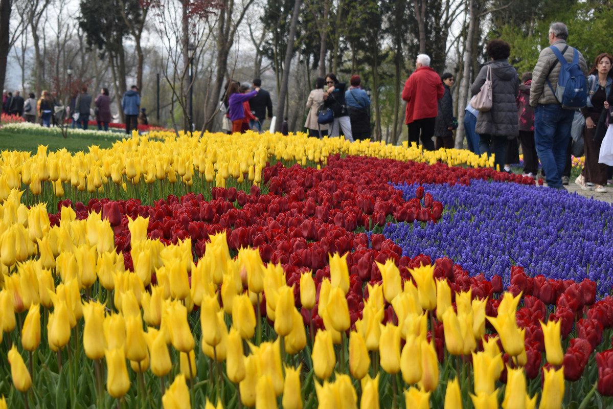 DSC 0455 — Postimages