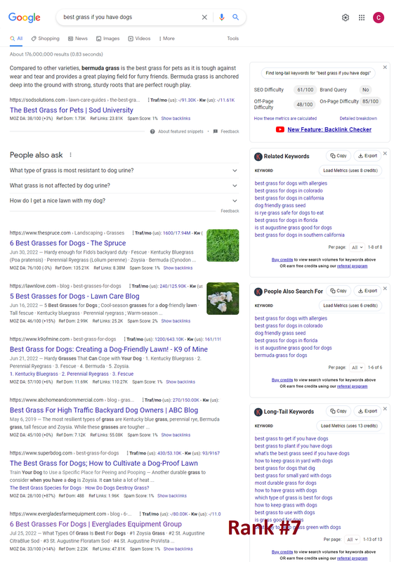 7 best grass if you have dogs — Postimages