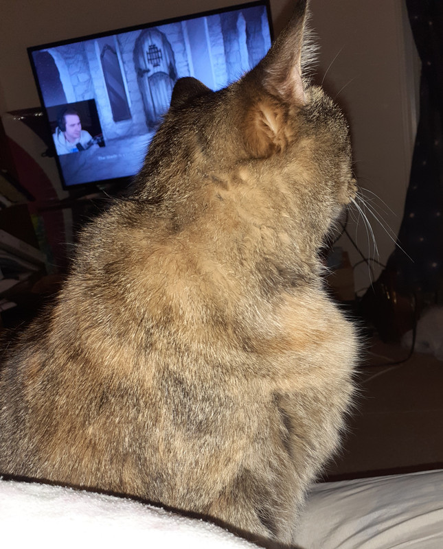 20240617 211517 — Postimages